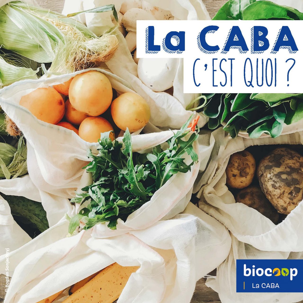 Une structure coopérative originale - Biocoop CABA - Magasin Bio Angers